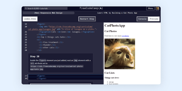 freeCodeCamp Review - Everything you need to know (September 2025)